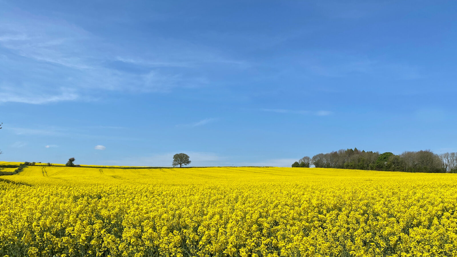 Tax threats prompt shift in savings landscape - S4 Financial