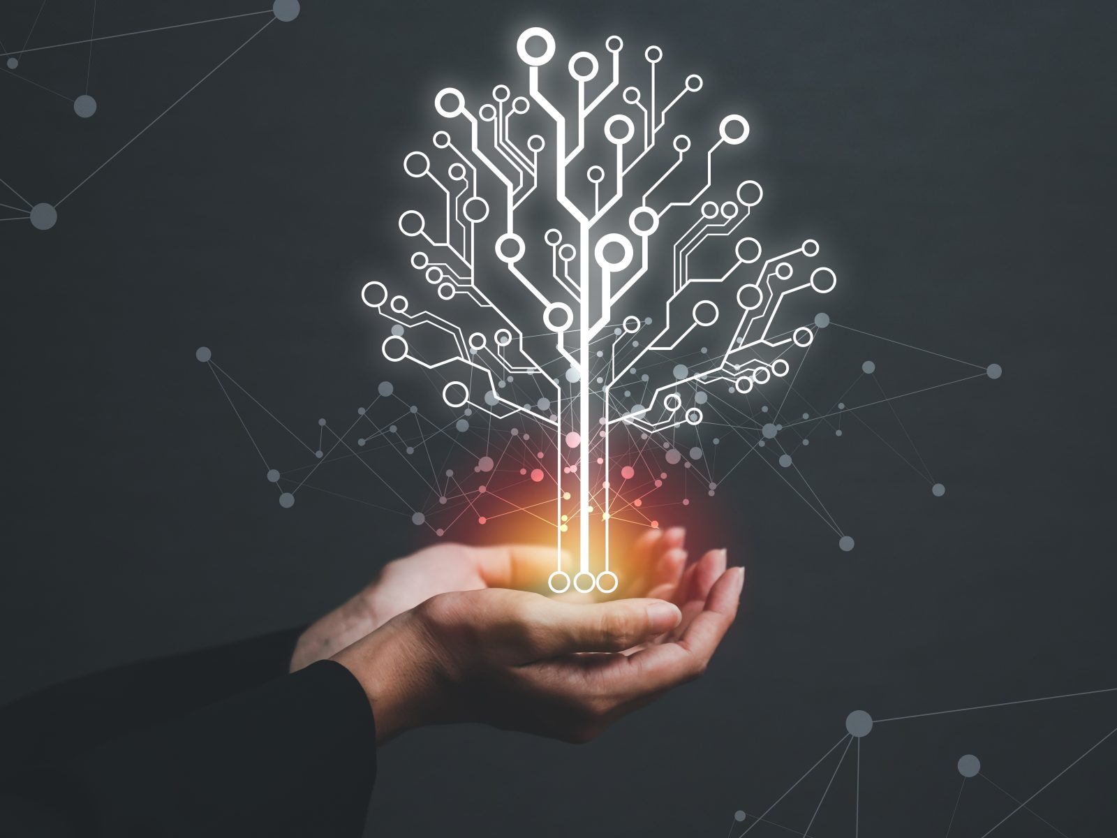 Home Page - Smart Advisory