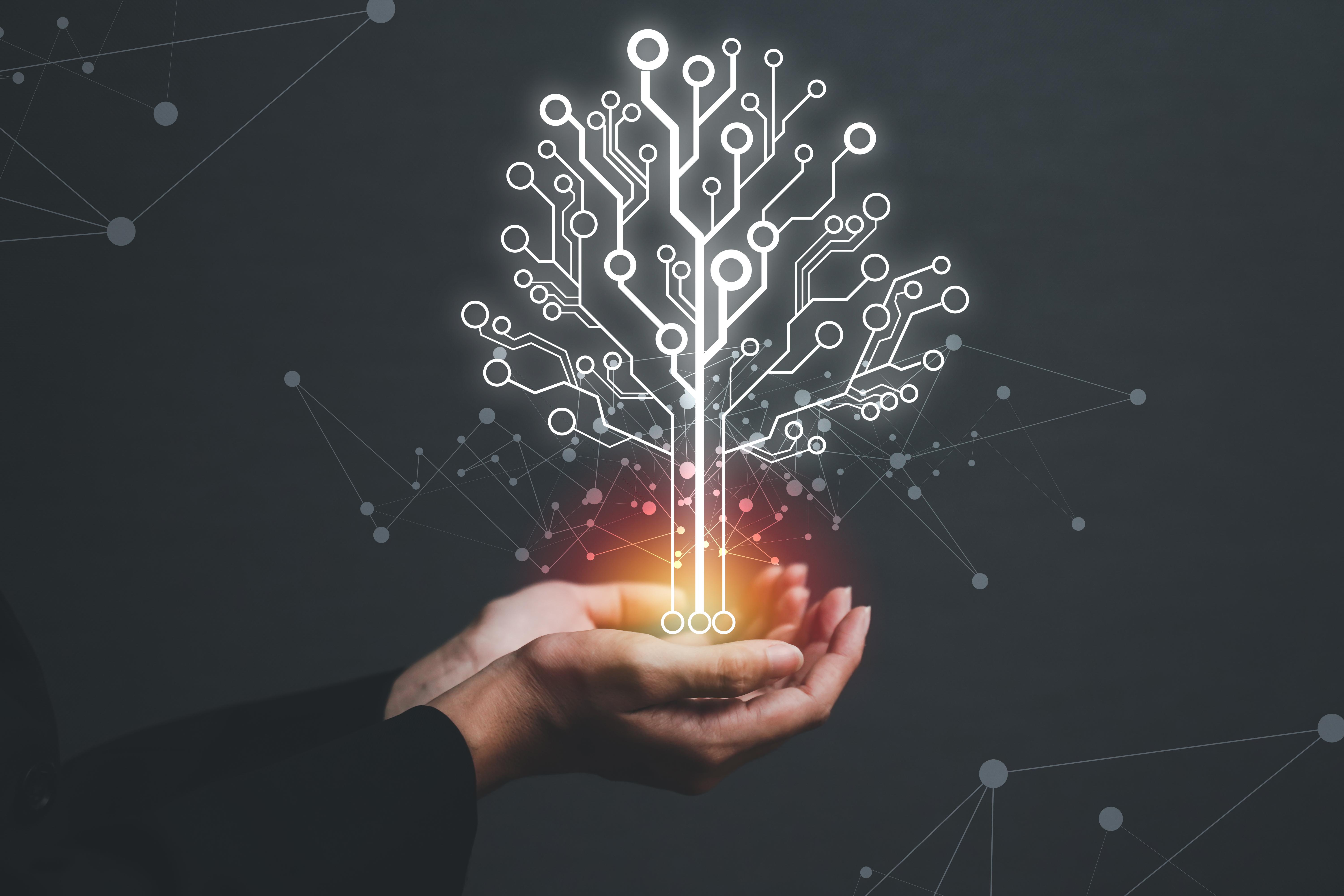 Services Archive - Smart Advisory